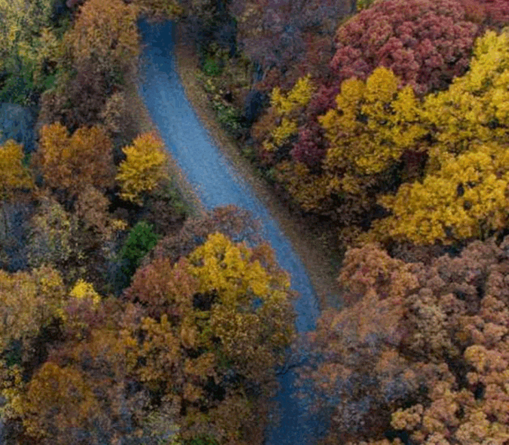 청력에 대한 잘못된 상식과 진실 : 네이버 블로그