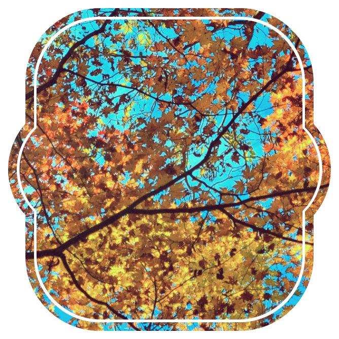 근로계약서 작성방법과 근무조건 임금 협상의 실제 이야기 : 네이버 블로그