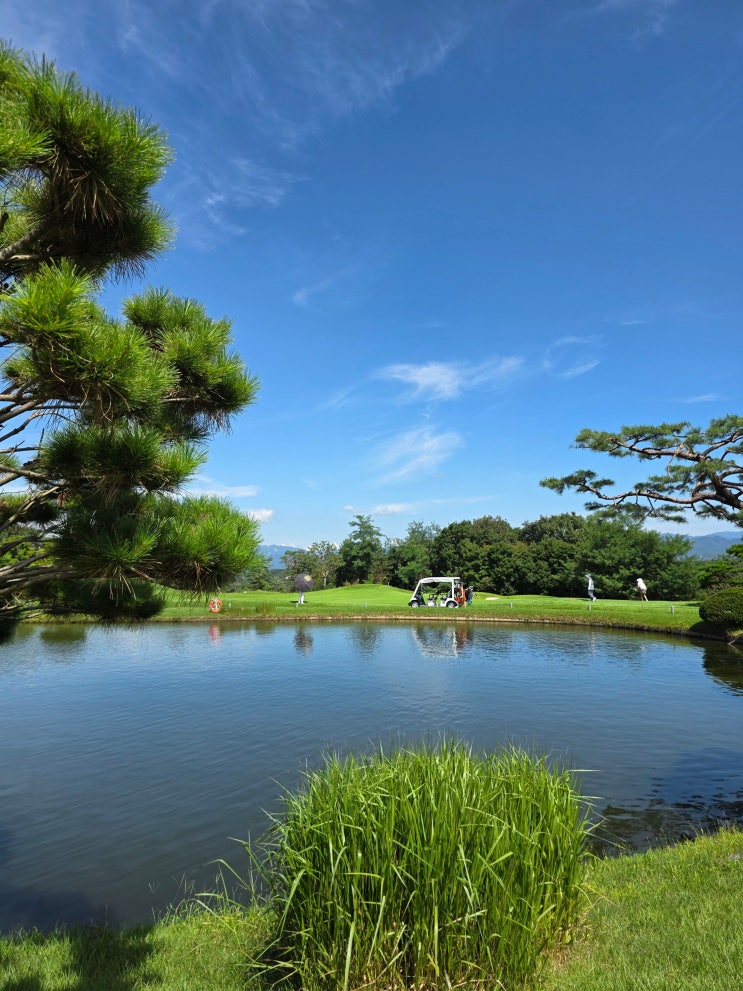 아도니스cc-KLPGA 대회 직전 따끈따끈한 라운드 후기 ^^ : 네이버 블로그