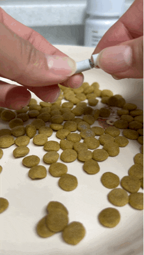 [강아지 알러지 영양제] 눈물자국과 면역력까지 잡는 본아페티 : 네이버 블로그