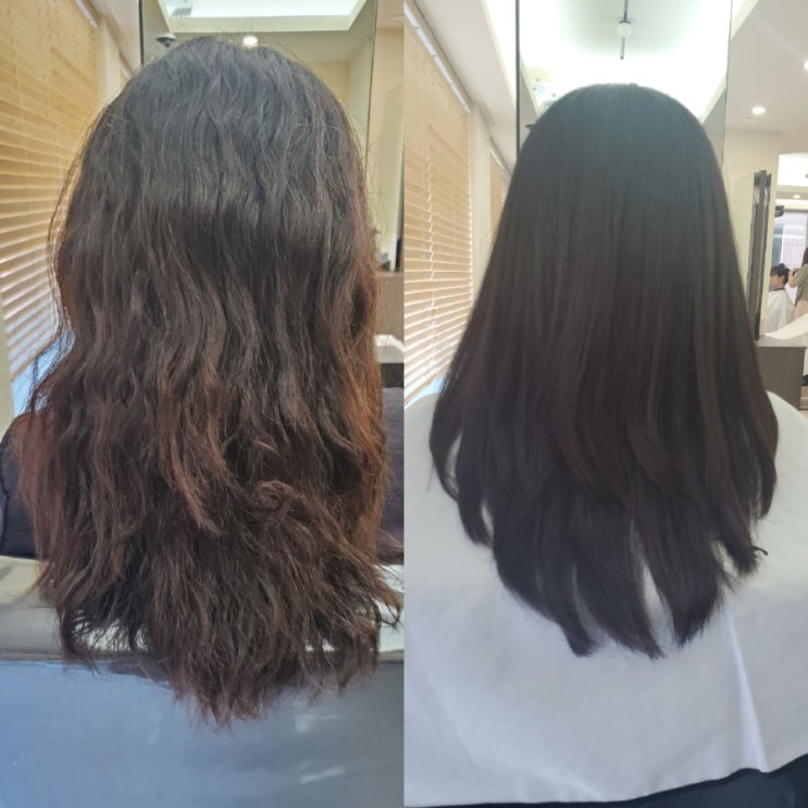 개망한 해그리드 머리 소생시키기 박준뷰티랩 개포점 추천!! : 네이버 블로그