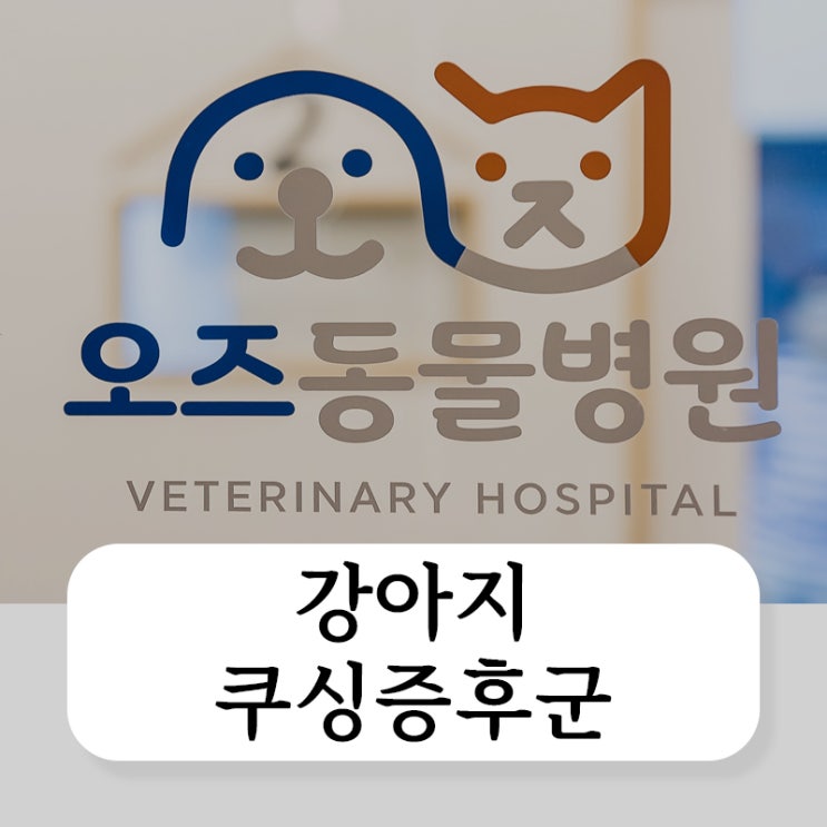 강아지 쿠싱검사 LDDST 진단 후 쿠싱증후군 치료 사례 : 네이버 블로그