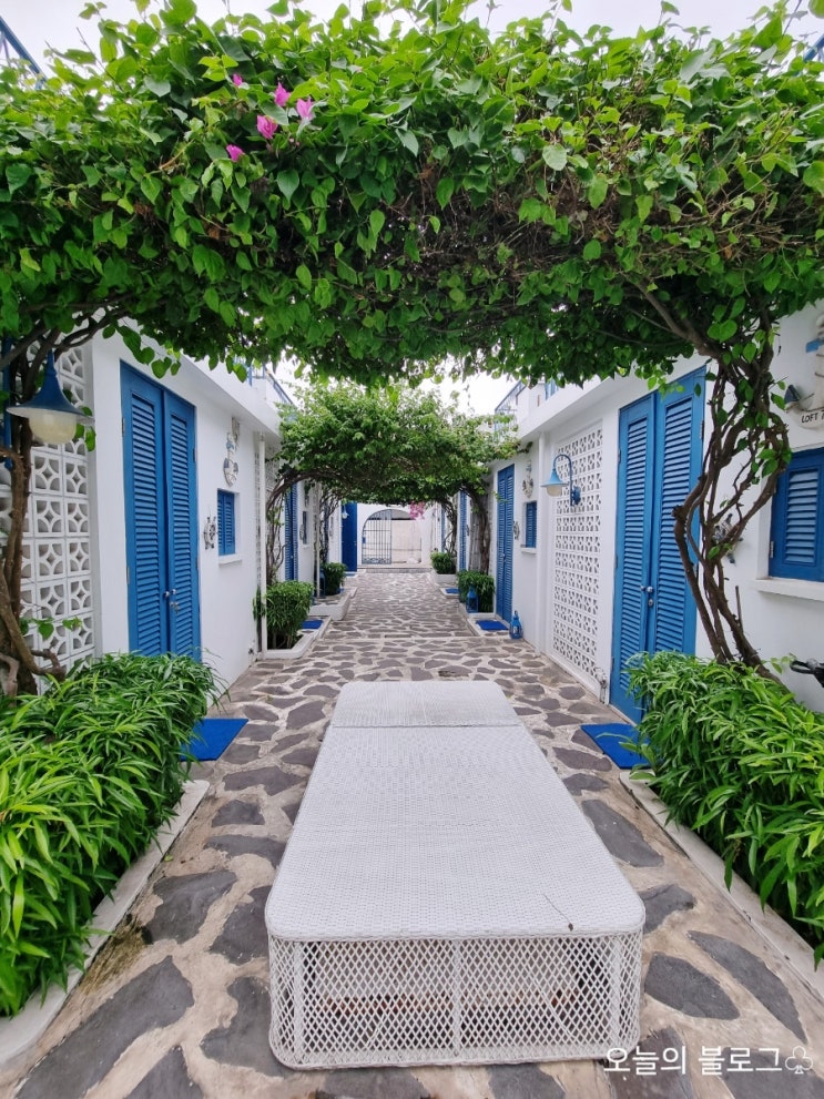 발리 짱구 숙소 추천 가성비 좋은 The Blue Loft Canggu 샤워기필터 변화 : 네이버 블로그