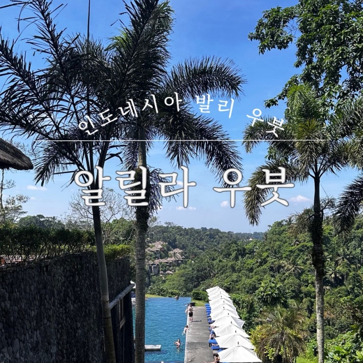[인도네시아, 발리] Alila Ubud 알릴라 우붓 하얏트, 부대시설(조식, 수영장, 헬스장, 액티비티) : 네이버 블로그