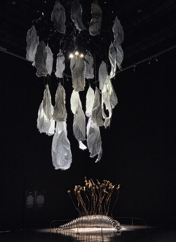 MMCA x CMOA 청주프로젝트 2025_다시, 찬란한 여정_청주시립미술관 : 네이버 블로그