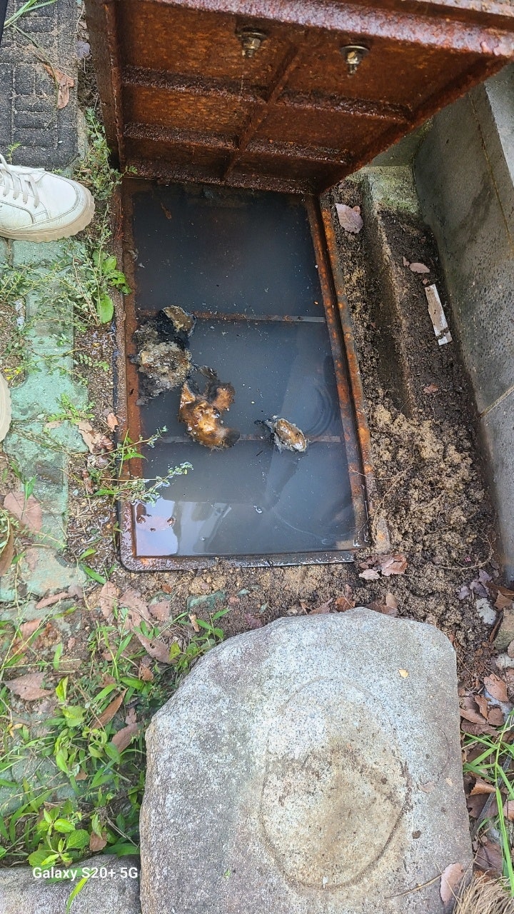 밀양시 하수구막힘 밀양시 단장면 주택 하수구 막힘 내시경 확인 후 고압세척으로 시원하게 뚫어 드렸습니다 : 네이버 블로그