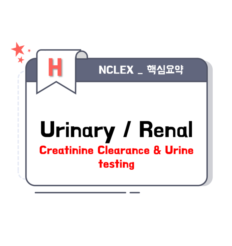 NCLEX 엔클렉스 핵심 요약본 무료공유 Urinary / Renal Creatinine Clearance & Urine ...