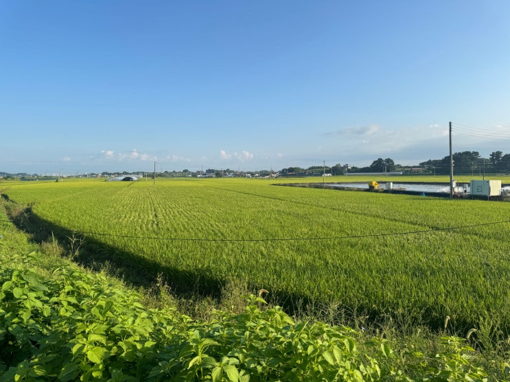 자전거 출근길(2025.09.06.) : 네이버 블로그