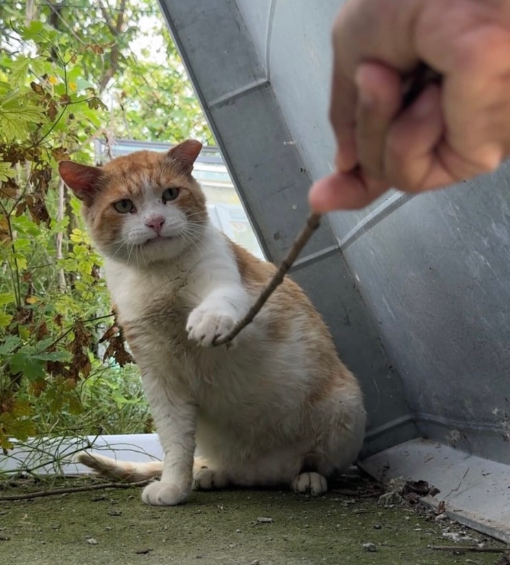 주말 일상 175, : 네이버 블로그