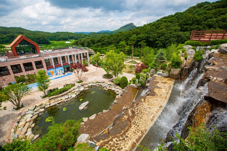 용인 가볼만한곳 추천 용인 여행 외곽 카페 베툴라 용인 자작나무숲 입장료 : 네이버 블로그
