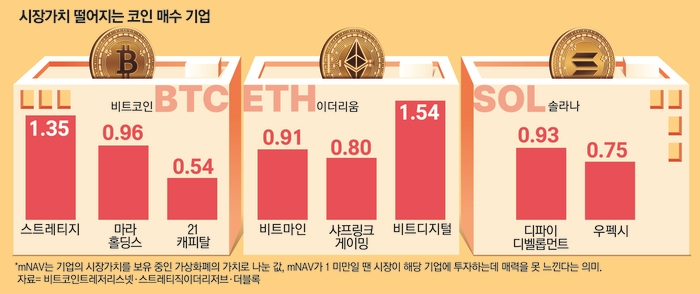 가상자산 시장의 숨겨진 뇌관? DAT 기업 mNAV 1 미만 급락, 투자 주의보 발령! : 네이버 블로그