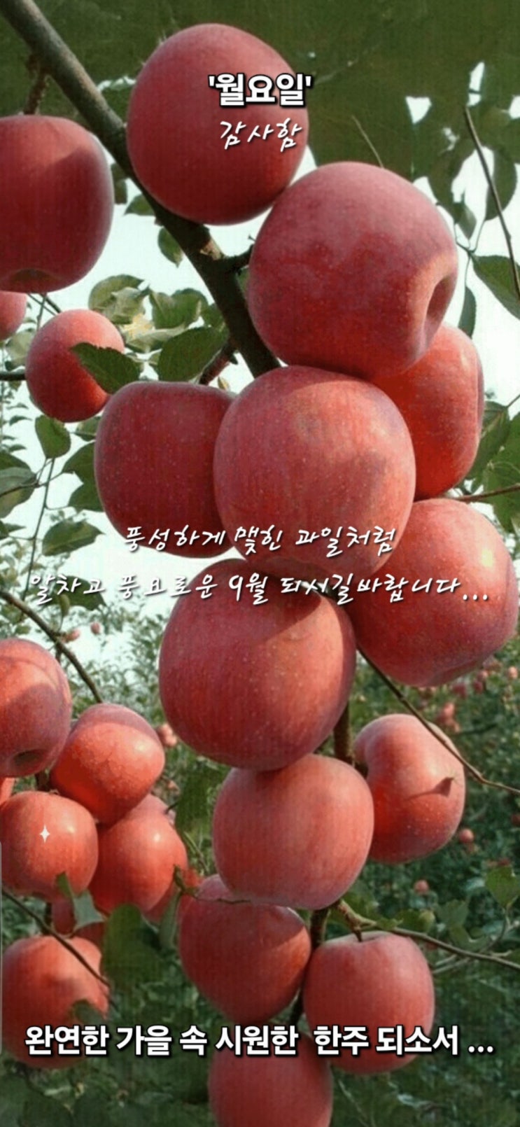 모두가 감사입니다... : 네이버 블로그