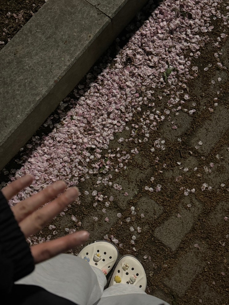 25년 4월~7월 행복했던 순간의 기록.. : 네이버 블로그