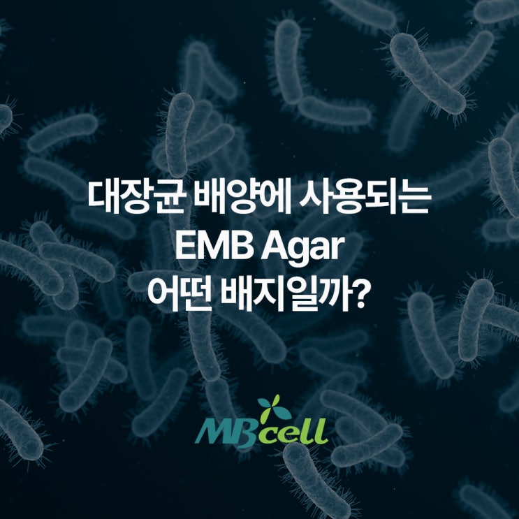 대장균 배양에 사용되는 EMB Agar에 대해 아주 상세하게 공부해보자! : 네이버 블로그