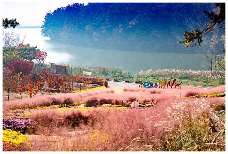 클럽디 금강CC & 웅포CC 2색 1박 2일 골프 여행 : 네이버 블로그