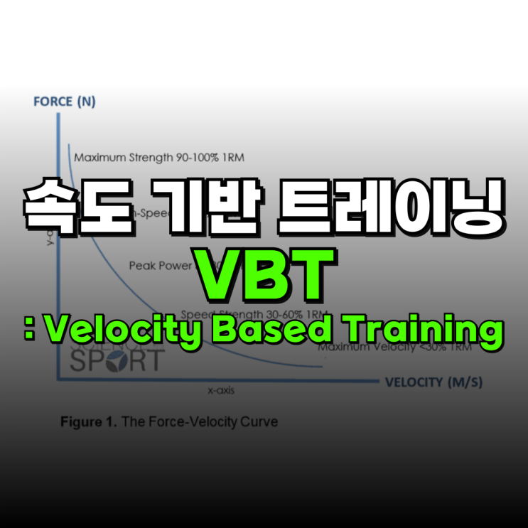 VBT: Velocity Based Training 속도 기반 트레이닝 방법 : 네이버 블로그