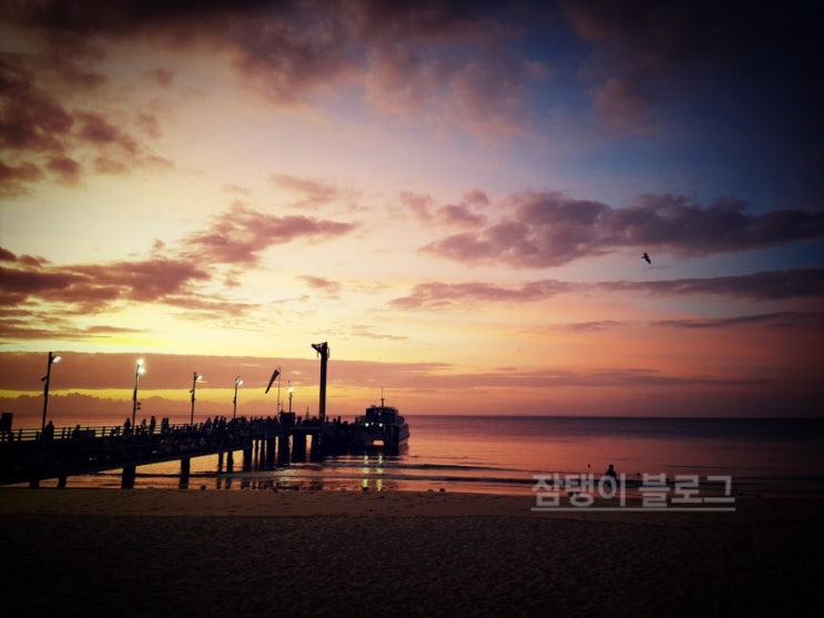 [호주여행] 브리즈번, 모튼 아일랜드, 탕갈루마리조트, 골드코스트 : 네이버 블로그