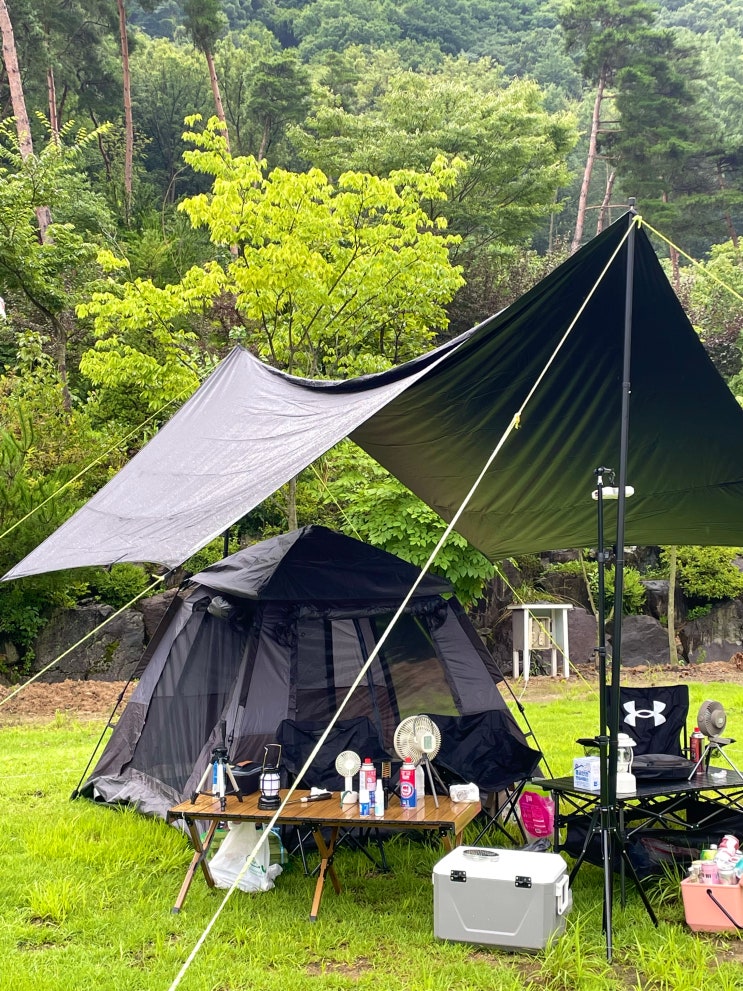[충북/옥천]대전 근교 옥천 먹캠핑 마로니에숲캠핑장_내돈내산 : 네이버 블로그