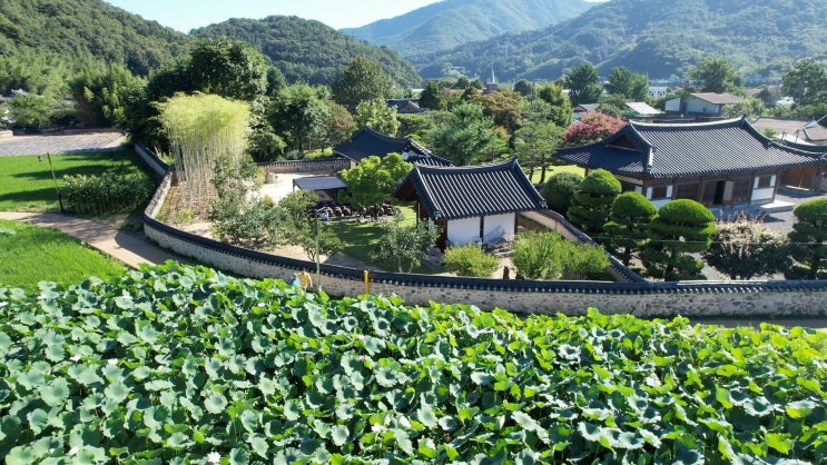 [최태성 서경석의 여행본색] 부자 로드를 따라 진주로! : 네이버 블로그