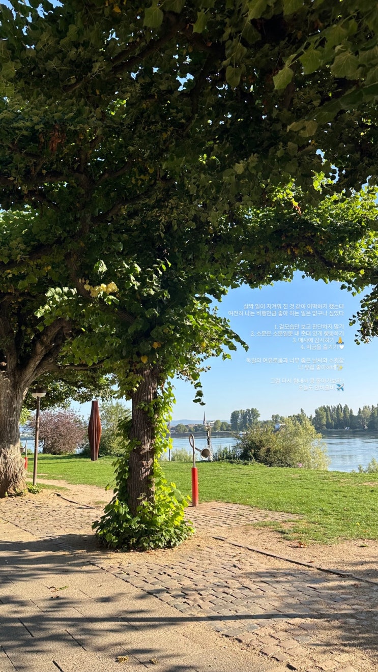 ️ Airplane Mode ️ #16 : 네이버 블로그