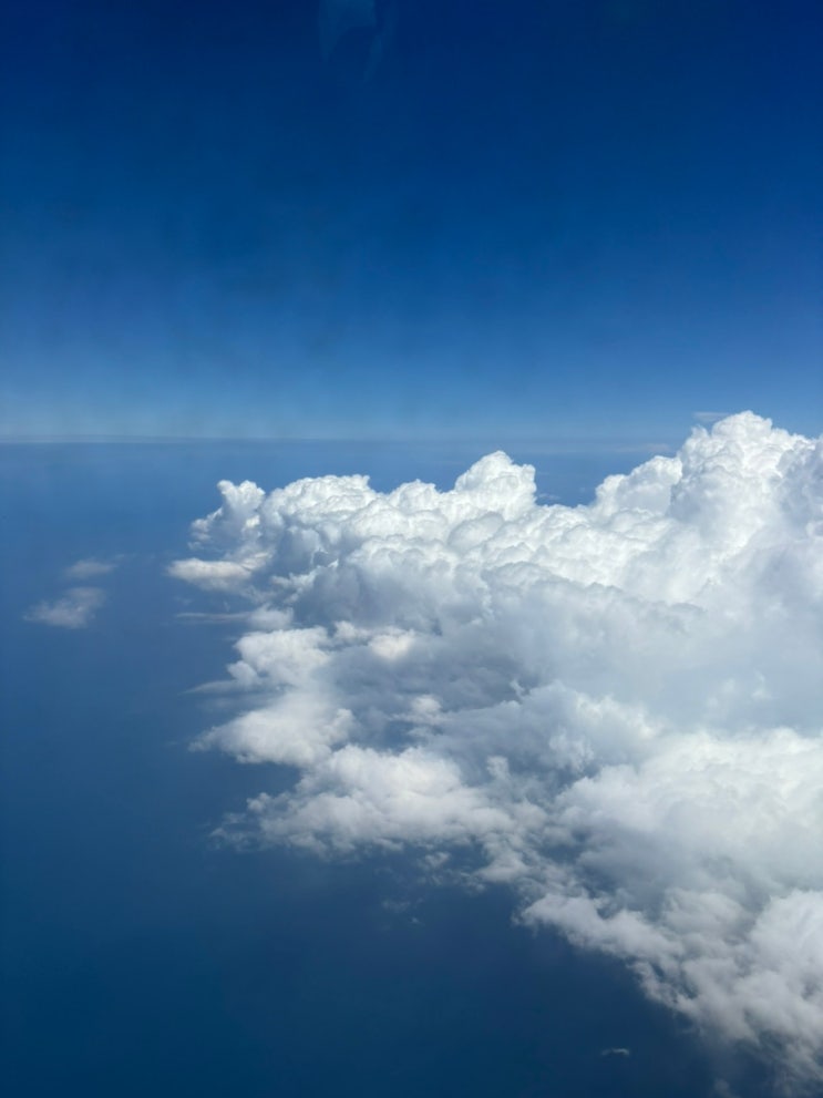 일본 여행 유심사USIMSA 이심, 유심(eSIM, USIM) 내돈내산 후기/3박4일 데이터 사용량 : 네이버 블로그