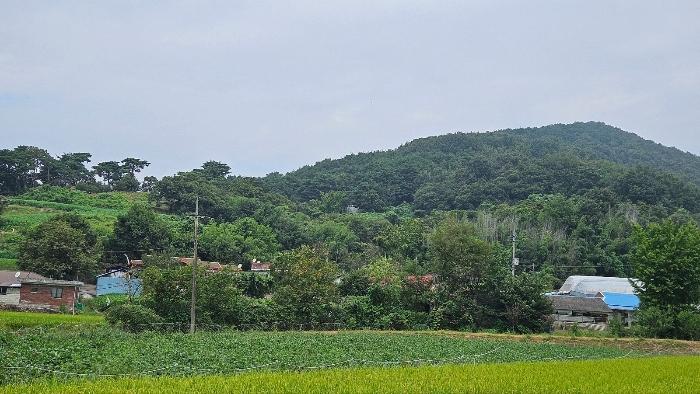 공주시 의당면 월곡리토지(과수원)경매 : 네이버 블로그