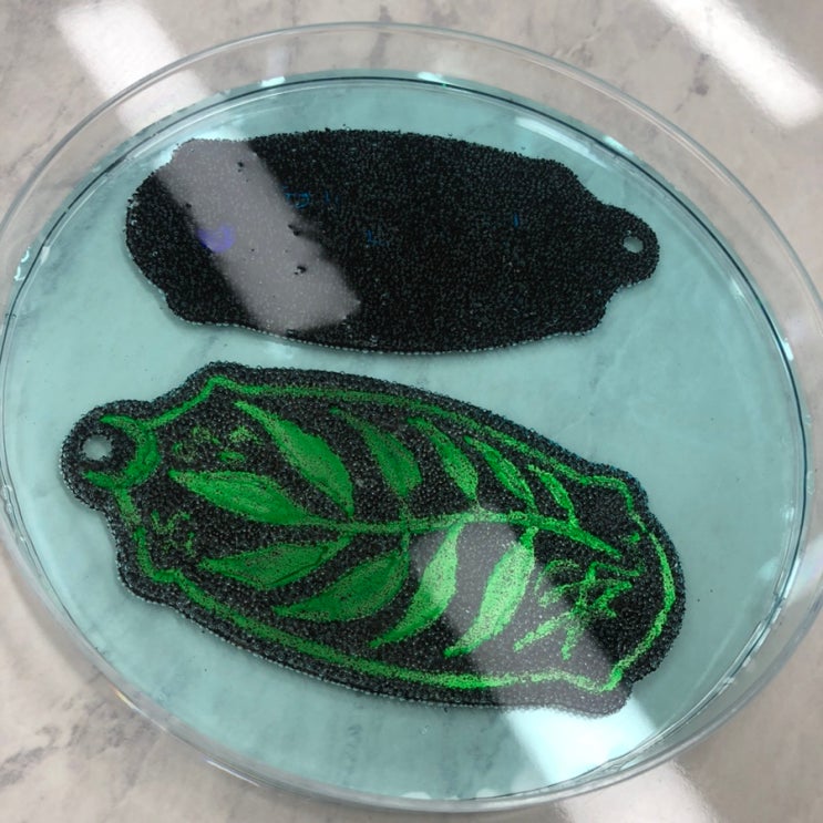 과학실험 : 네이버 블로그