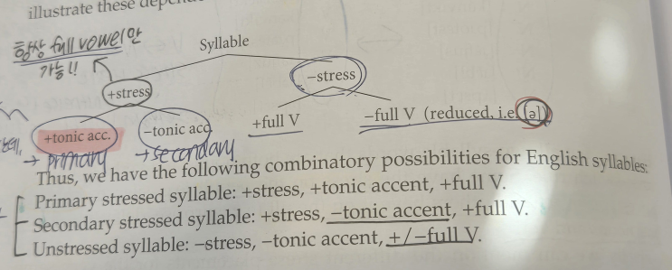 Applied English Phonology Ch.7 Stress and Intonation [개념] : 네이버 블로그