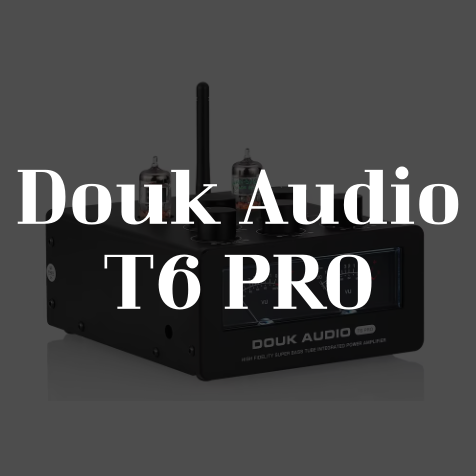 알리익스프레스 Douk Audio T6 PRO 튜브 앰프 할인쿠폰 9월 : 네이버 블로그