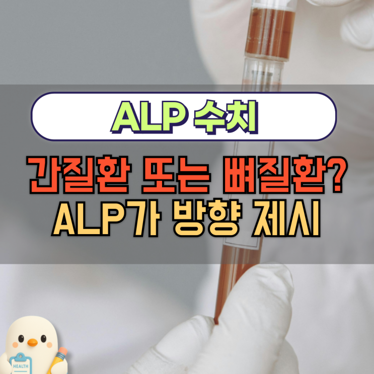 ALP 수치 높으면 낮음 뜻 정상범위 의미 : 네이버 블로그
