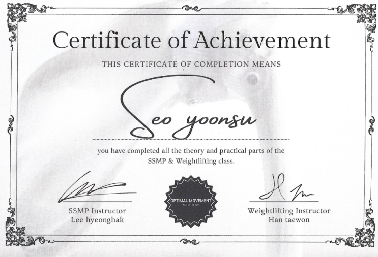 SSMP (Shoulder Symptom Modification Procedure) 교육 수료 후기 (feat.SOLV ...