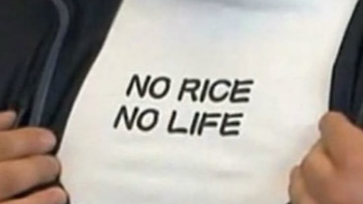 No Rice No Life : 네이버 블로그