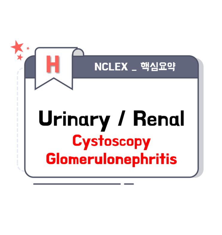NCLEX 엔클렉스 핵심요약본 무료공유 Urinary Renal Cystoscopy Glomerulonephritis : 네이버 블로그