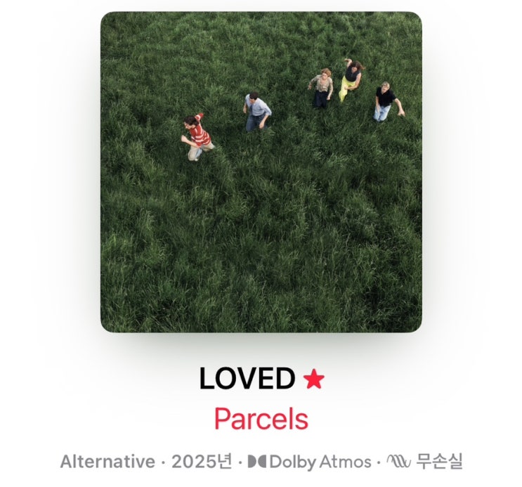 Parcel + Loved : 네이버 블로그