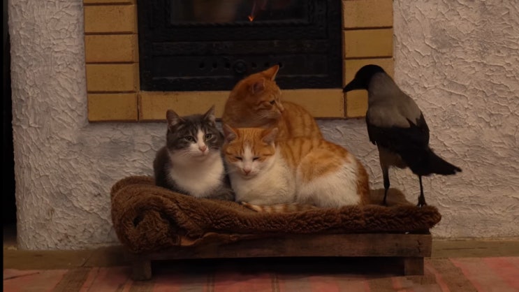 ~ 2025.09.14 | 궁극적으로 어떤 삶으로 귀결되길 바라는지 : 네이버 블로그