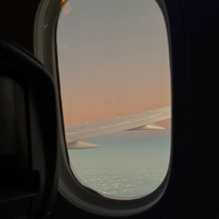 젯스타 시드니 왕복 비추하는 이유, 지연 JQ48 JQ47 솔직후기 : 네이버 블로그