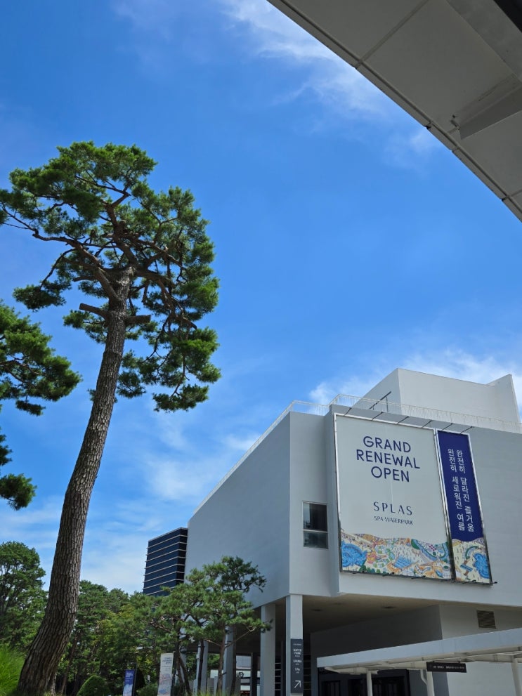 [충남 덕산] 스플라스 리솜 1박 2일 (스테이타워 G50,충남여행,덕산여행,덕산리솜,덕산맛집,리솜맛집)_251103 : 네이버 블로그