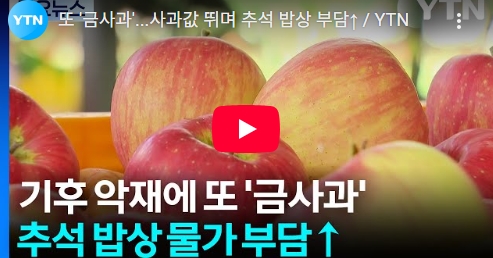 또 '금사과'...사과값 뛰며 추석 밥상 부담↑ / YTN : 네이버 블로그
