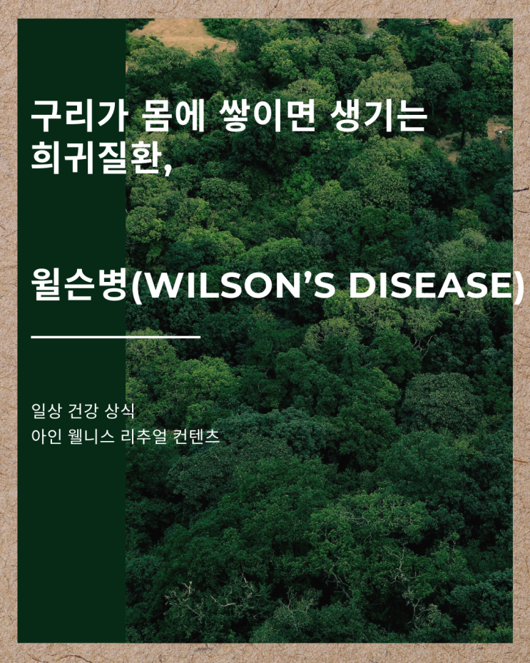 구리가 몸에 쌓이면 생기는 희귀질환, 윌슨병(Wilson’s Disease) : 네이버 블로그