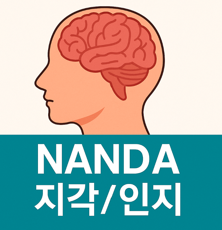 NANDA 간호진단 최신버전 알아보기 (Part 5: 자각/인지) : 네이버 블로그