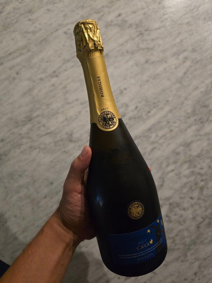 앙리마티스 보히가스 에디션 (Bohigas Cava Brut Reserva, Henri Matisse Limited ...