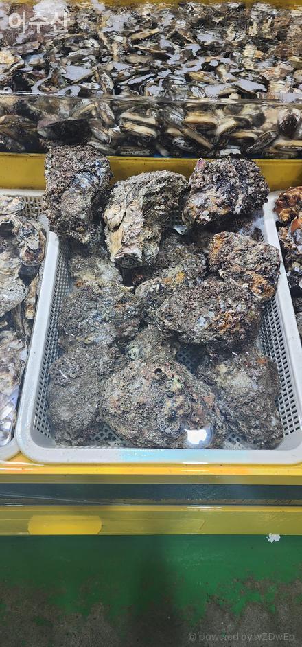 어수산 제철회 : 네이버 블로그