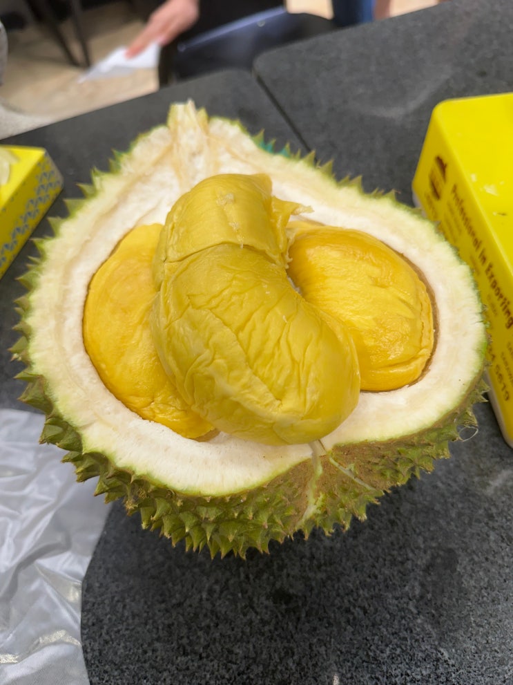 과일의 왕 두리안 가성비 있게 먹는 말레이시아 Dking SS2 Durian - Durian Wonderland : 네이버 블로그