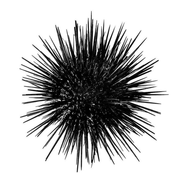 Log of New Releases : #61 (Twenty One Pilots, Maruja 등) : 네이버 블로그