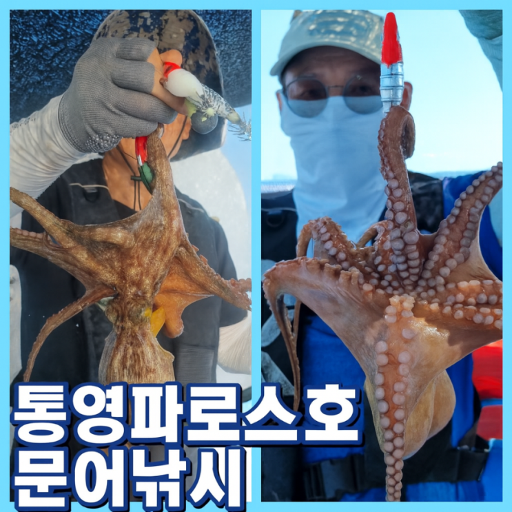 [통영배낚시] 9.16(화) 돌문어 조황체크? : 네이버 블로그