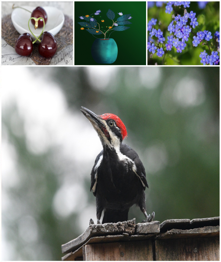 자연 속에서의 감성 사진 촬영 추천 : 네이버 블로그