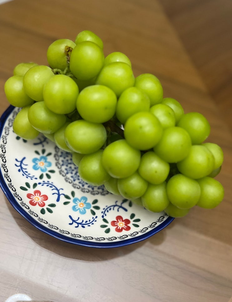 오보하의 샤인 머스캣, '과일의 명품'이라 불리는 껍질째 함께 먹을 수 있는 연둣빛 포도 : 네이버 블로그