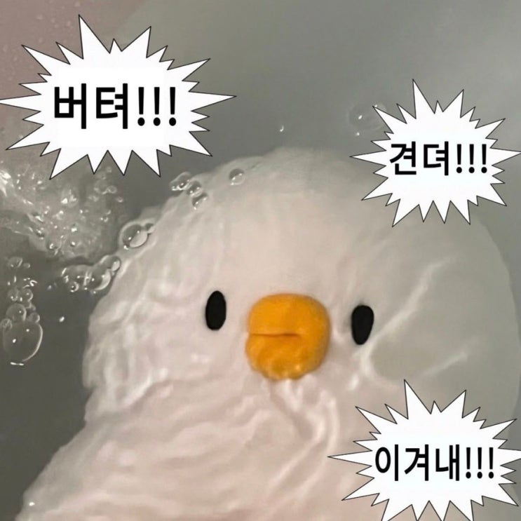 오픽 일주일 공부하고 IM1 > IH 딴 후기 : 네이버 블로그