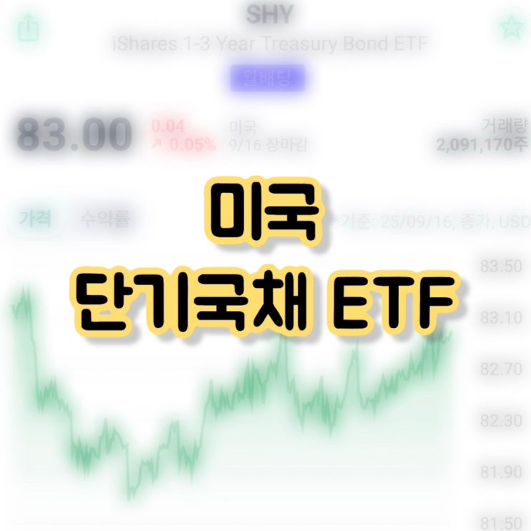 안전자산 투자, 미국 단기국채 ETF 비교 : SHY vs SGOV : 네이버 블로그