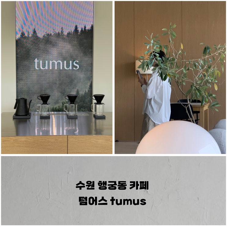 수원 행궁동 카페, 우드톤 인테리어 통창뷰 텀어스 tumus : 네이버 블로그
